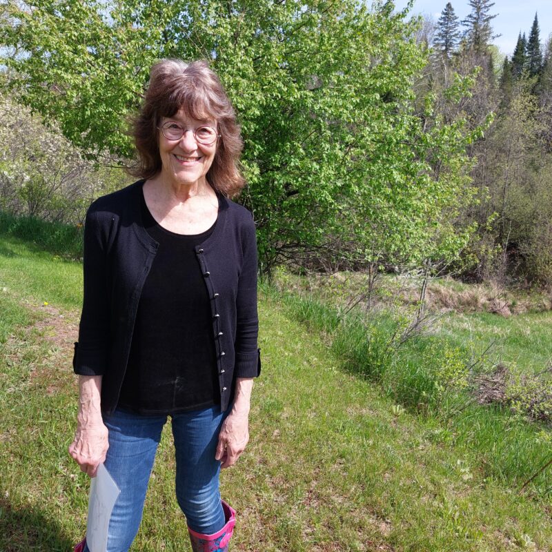 Ecosystem Services - Climate Land Leaders