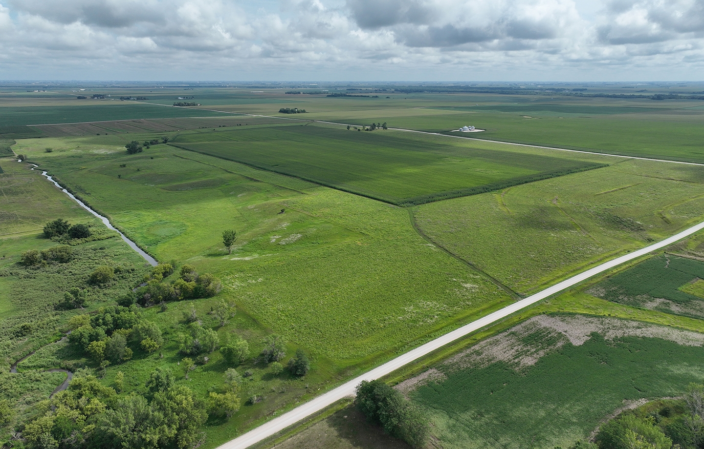 CRP and “a cause to celebrate” - Climate Land Leaders