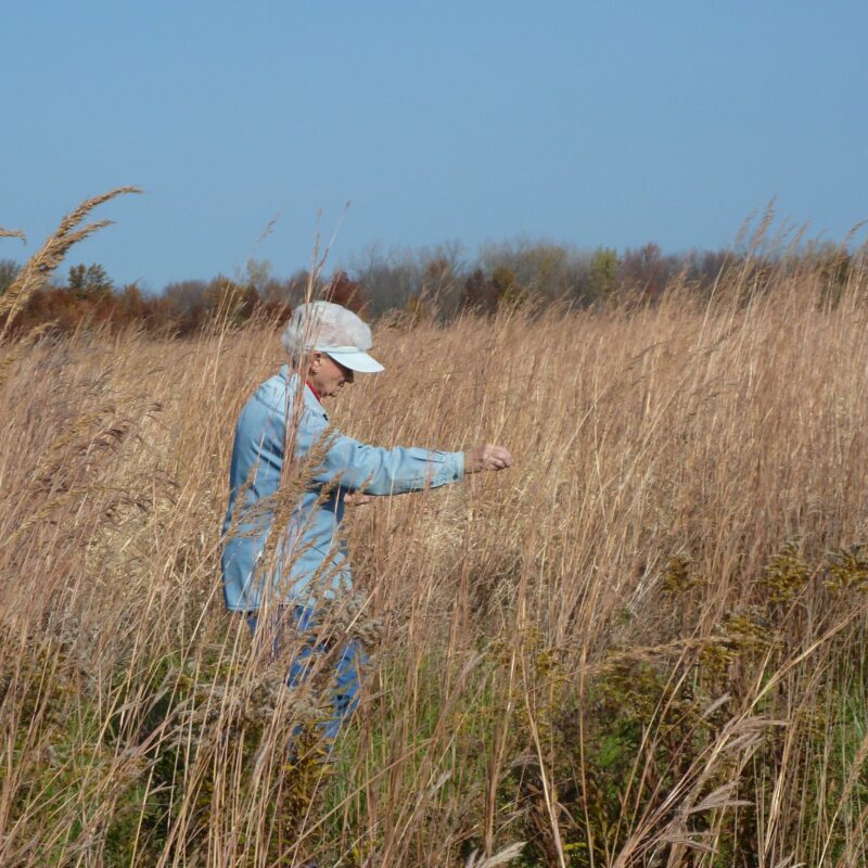 Open door conservation at Earth Heart Farms - Climate Land Leaders