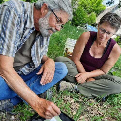 Meet Climate Land Leaders