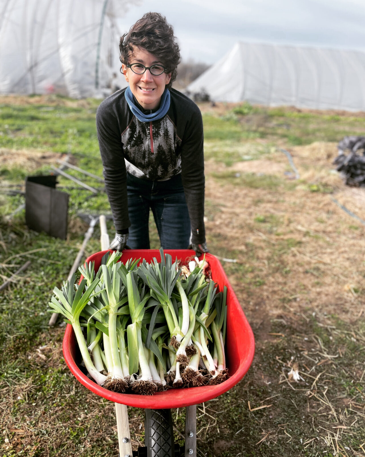 Team - Climate Land Leaders