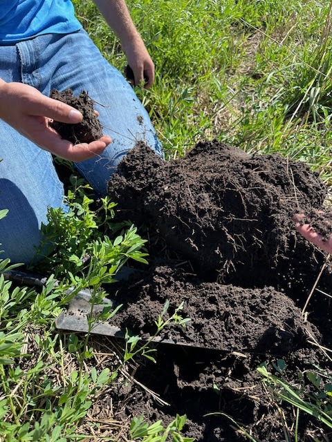 A year-end tribute to soil - Climate Land Leaders